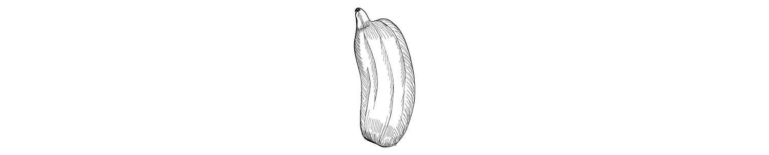 Plátano mafafo | Banana Mafafo – oriundopr